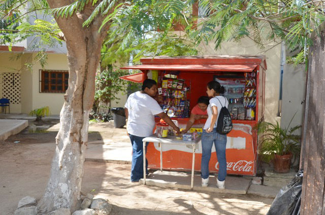 Wie die Maya heute leben: Ernährung – Medical Mission Network